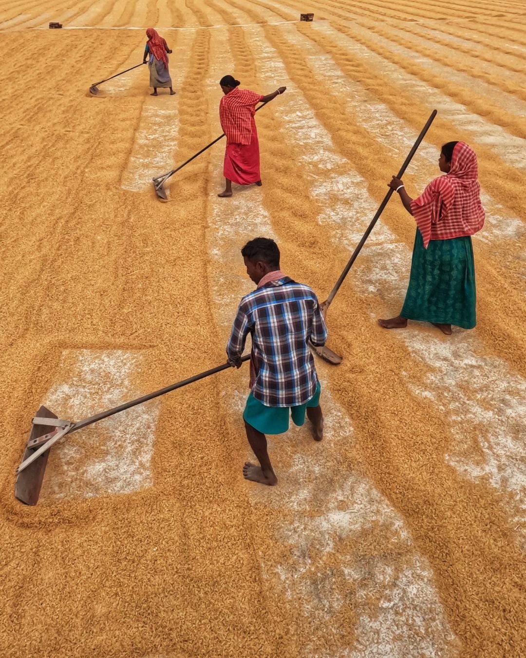 Lotusrice Industries